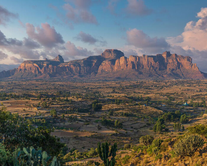 Behre Dolbear - Dolbear