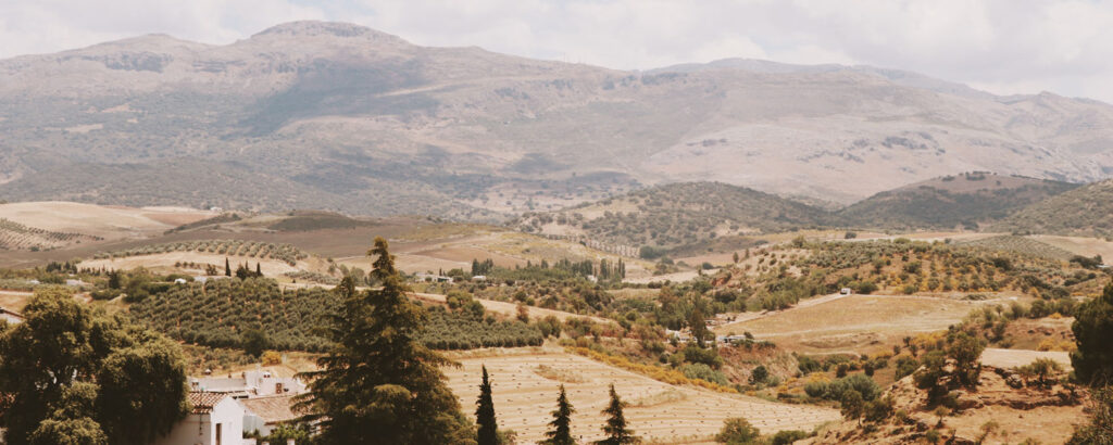 Behre Dolbear - Dolbear