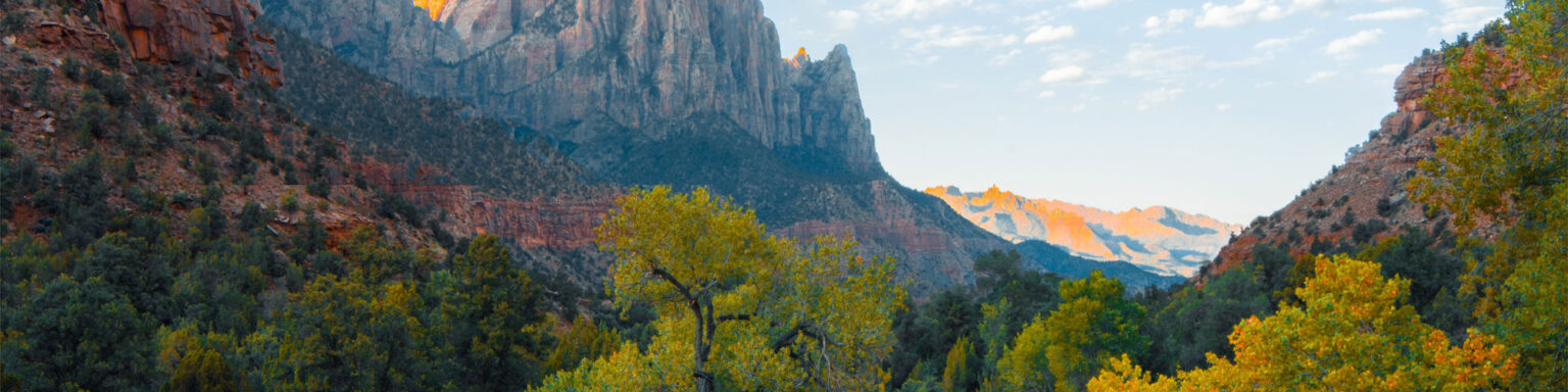 Our History - Dolbear